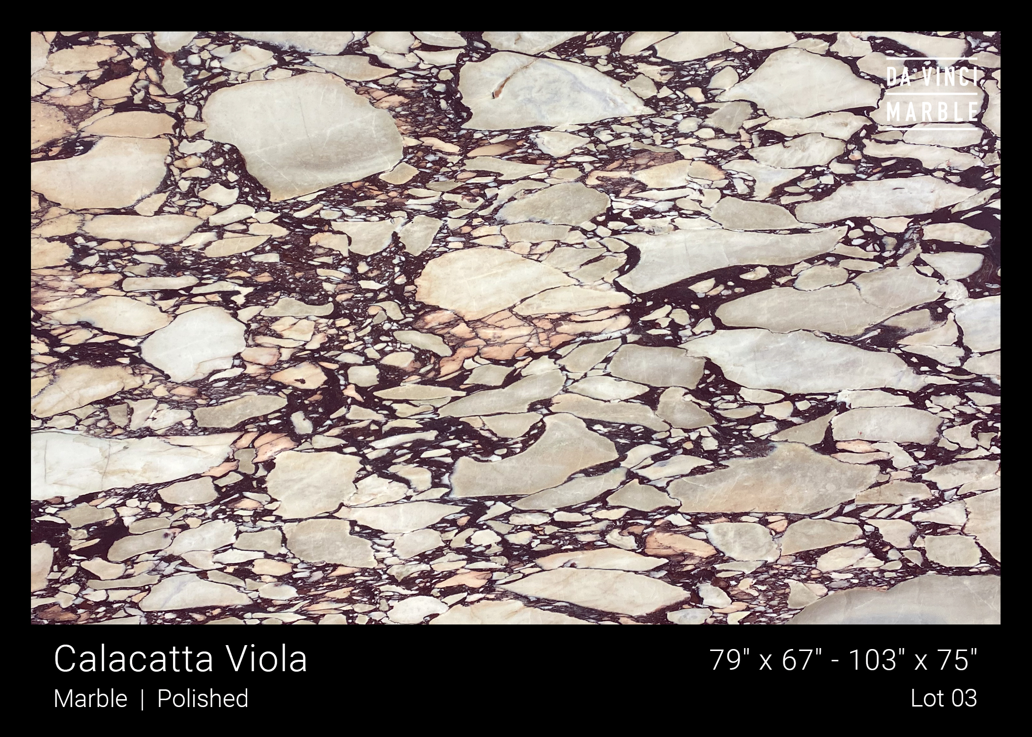 Calacatta Viola Polished 2cm - DaVinci Marble